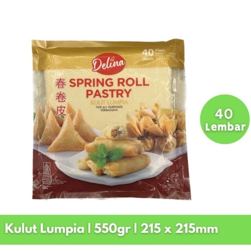 Jual FINNA DELINA SPRING ROLL PASTRY KULIT LUMPIA 215X215 MM ISI 40 ...