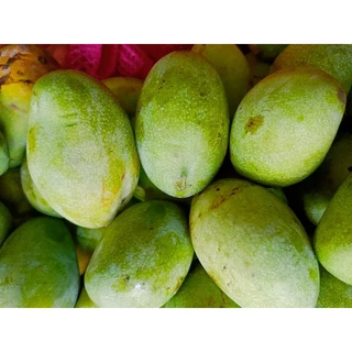 Jual Mangga 1 Kg Terlengkap & Harga Terbaru Juli 2024 | Shopee Indonesia