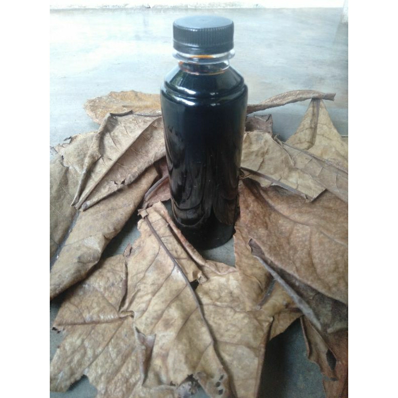 Jual Ekstrak Daun Ketapang laut 250ml | Shopee Indonesia