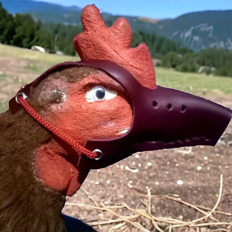 Jual Bungkus paruh bungkus cucuk ayam topeng | Shopee Indonesia