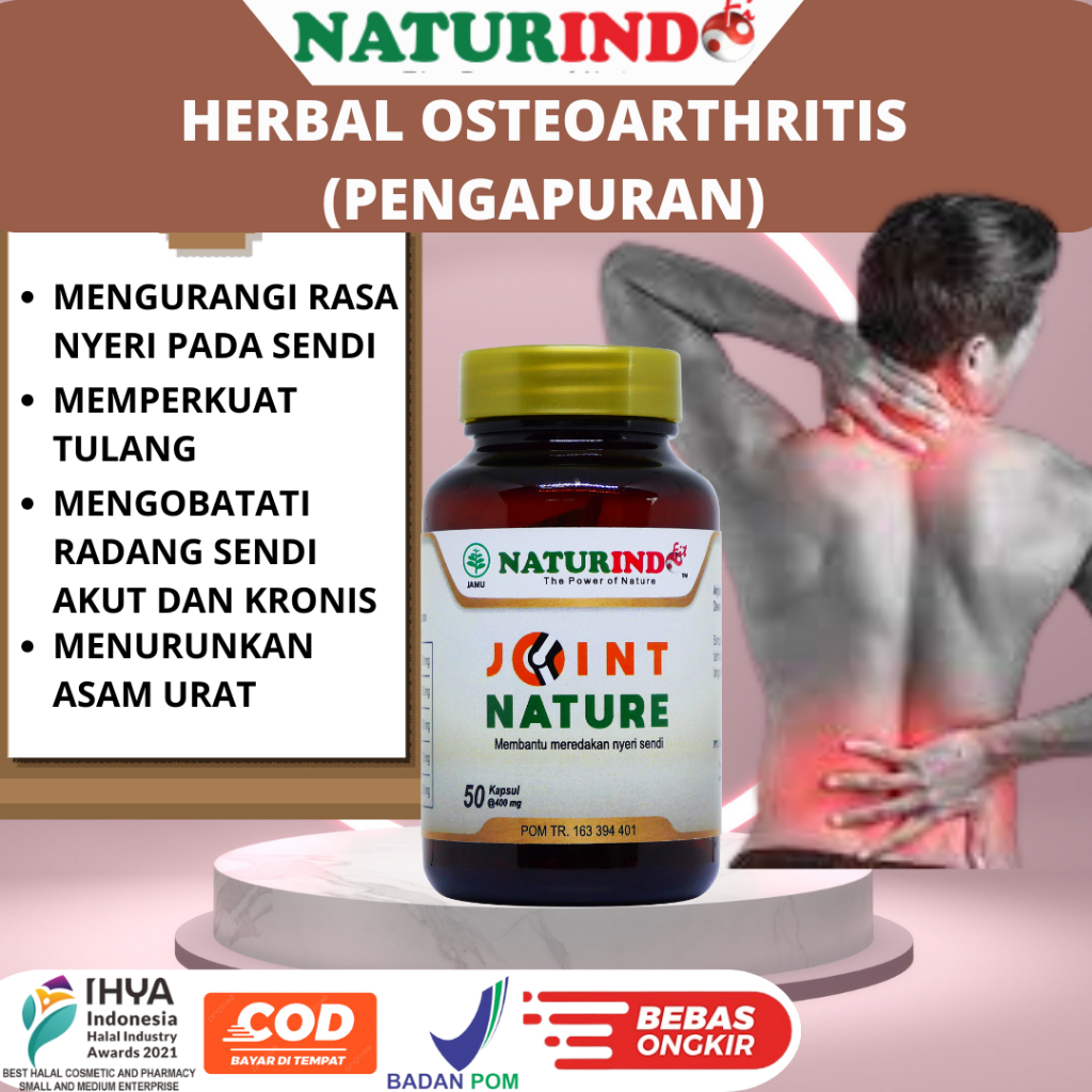 Jual bat Herbal Pengapuran ASAM URAT Tulang KEROPOS Nyeri Sendi BENGKAK ...