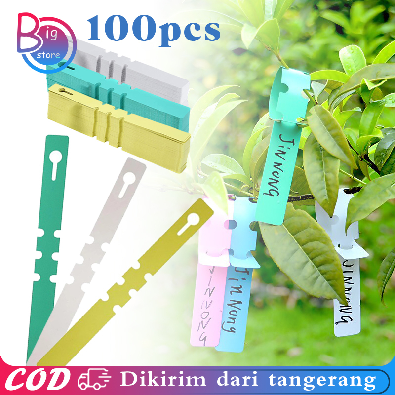 Jual 100pcs Label Tanaman Tancap Tahan Air Label Penanda Tanaman PVC Tag Tanaman | Shopee Indonesia