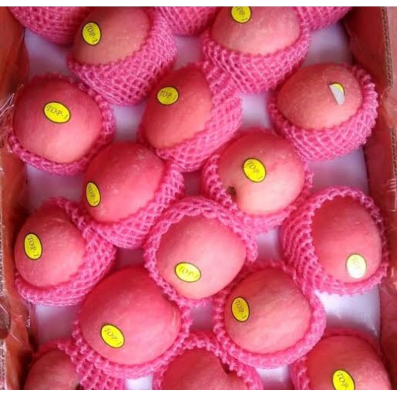 Jual Apel Fuji Berbagai Jenis Impor Premium 500gr-1000gr | Shopee Indonesia