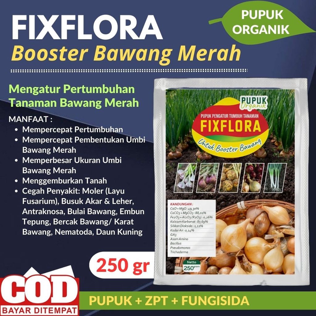 Jual Pupuk Organik Pelebat Bawang Merah Pupuk Khusus Tanaman Bawang Pupuk Booster Bawang Pupuk ...