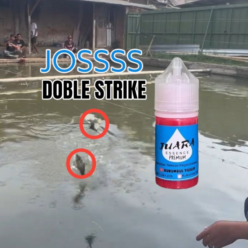 Jual Essen Ikan Mas Paling Bagus, Essen Juara Strobery Kamper Untuk ...