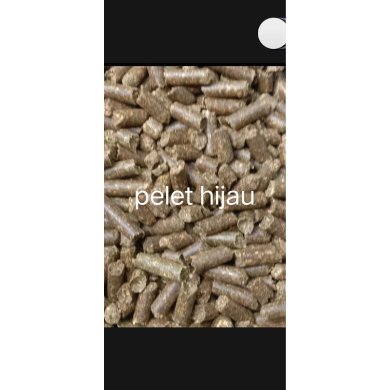 Jual pelet hijau pakan sapi, kambing, kuda, kelinci | Shopee Indonesia