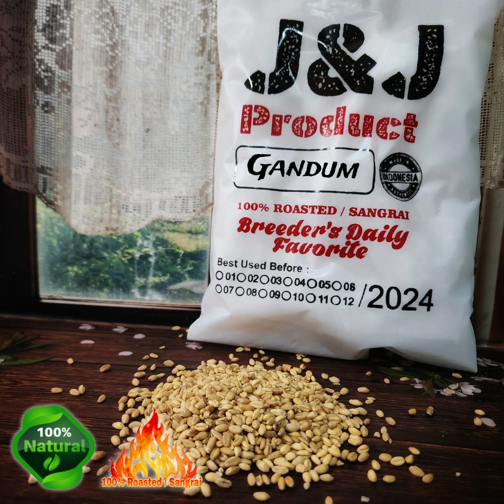 Jual Gandum Utuh 1kg Whole Wheat Gandum Putih J&J | Shopee Indonesia