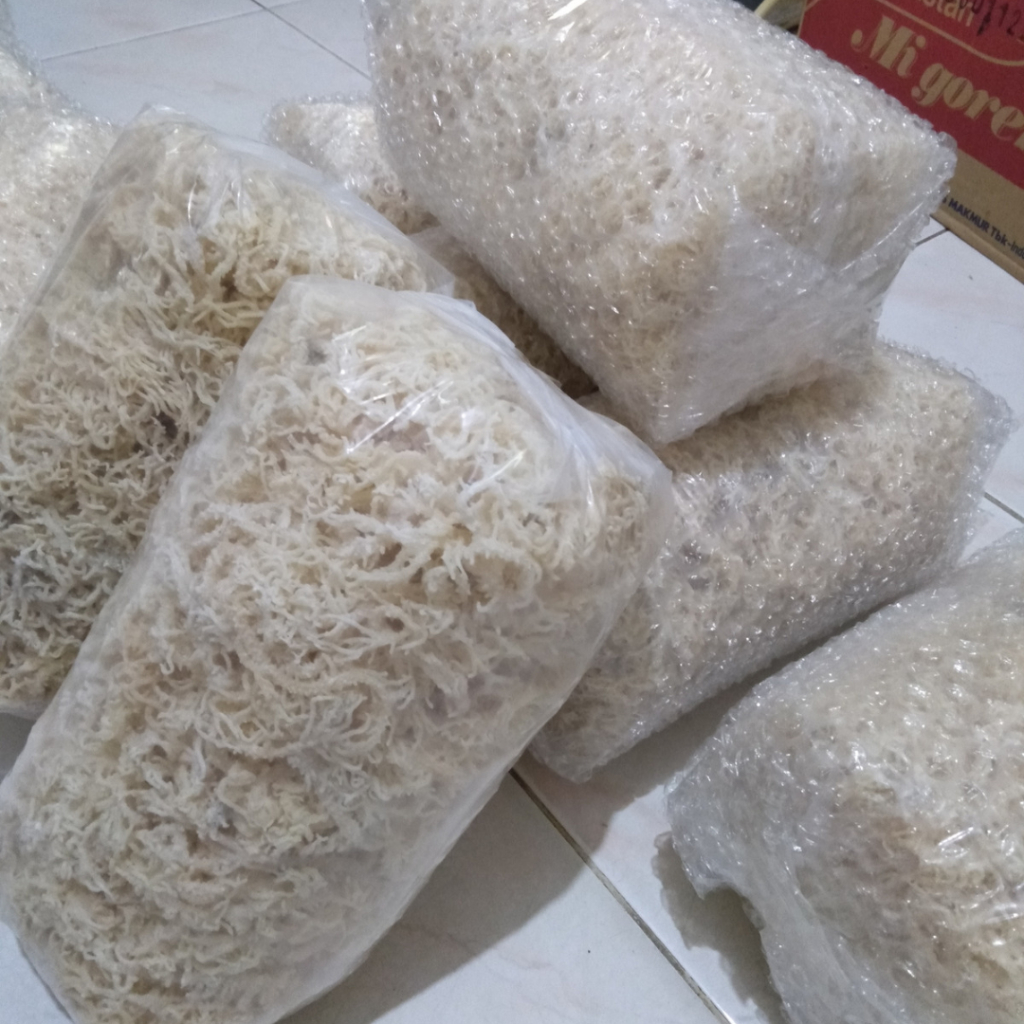 Jual 2Kg Rumput Laut Kering Untuk Es Campur | Shopee Indonesia