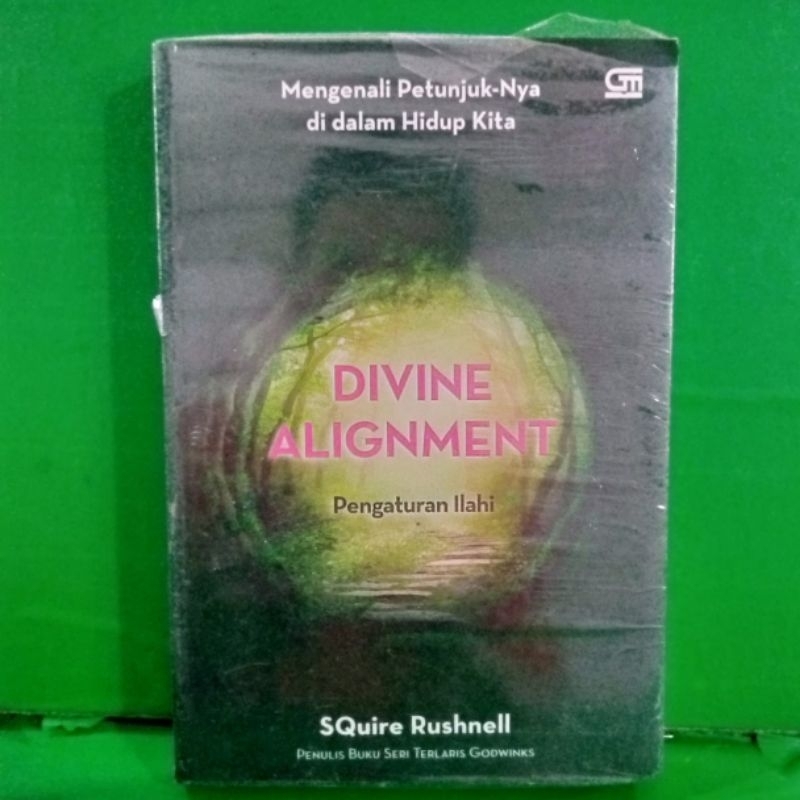 Jual Buku divine alignment ( pengaturan ilahi ) | Shopee Indonesia