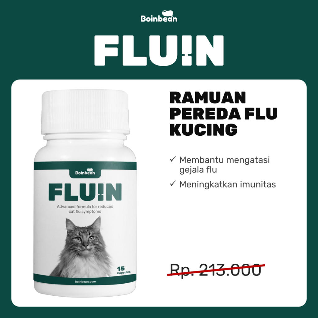 Jual Obat Kucing Sakit Flu, Pilek, Demam | Boinbean Fluin | Shopee ...