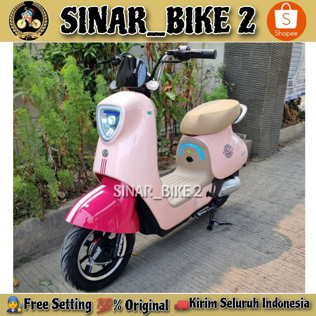 Jual Sepeda Listrik PACIFIC CAMERON & CAMERON PRO 650 Watt Electric E Bike | Shopee Indonesia