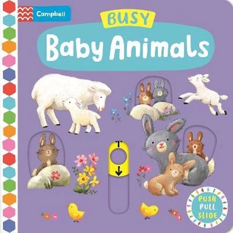 Jual WD Campbell My Busy Book Push Pull Slide Board Books Buku Cerita ...