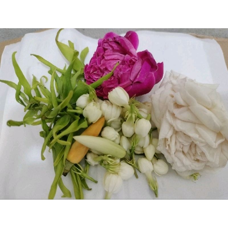 Jual bunga rampe kembang rampai segar | Shopee Indonesia