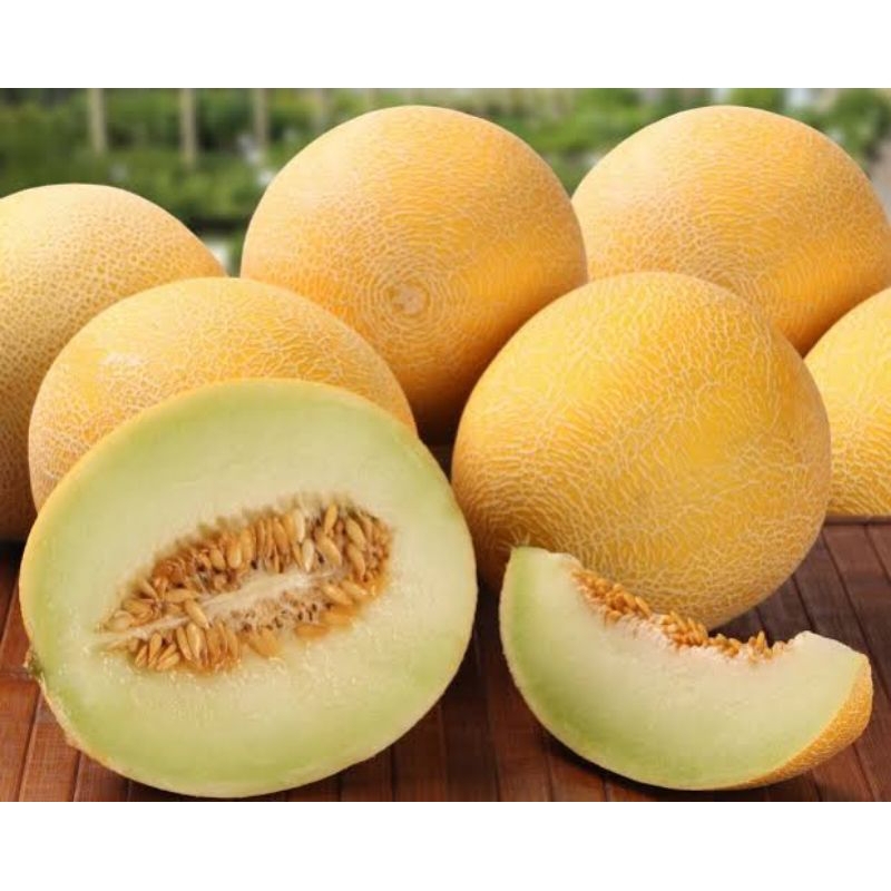 Jual Melon Madu / 1 buah | Shopee Indonesia