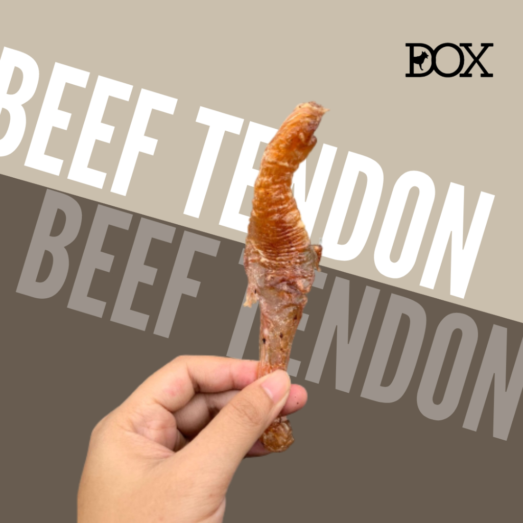 Jual DAWG! DAWG! Beef Tendon Otot Sapi Dog Snack Camilan Anjing ...