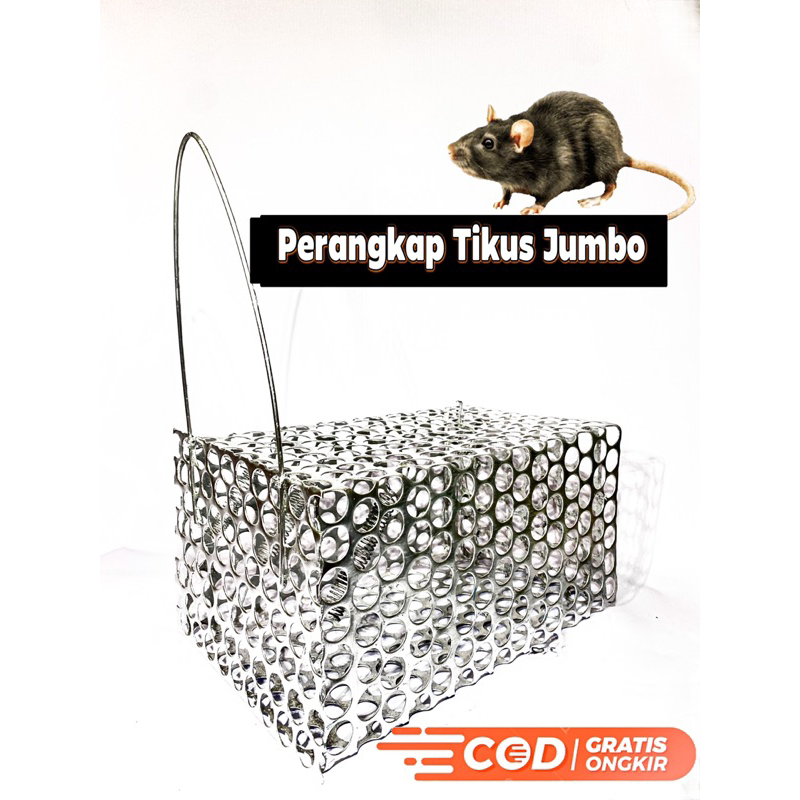 Jual Perangkap Tikus | Jebakan Tikus Jumbo | Shopee Indonesia