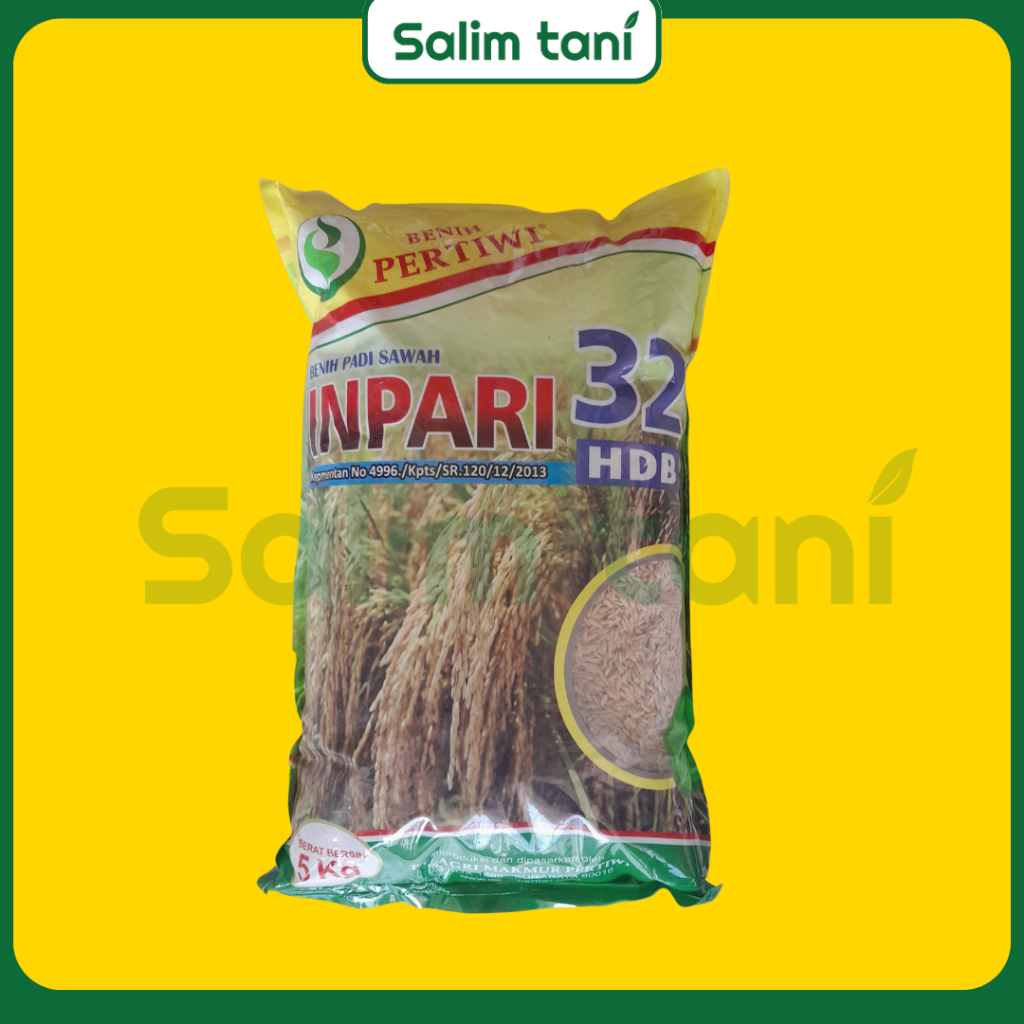 Jual BENIH BIBIT PADI SAWAH INPARI 32 PERTIWI - 5KG | Shopee Indonesia