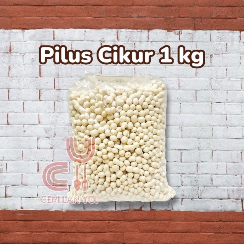 Jual Pilus Cikur Kencur 1 kg FREE bubble warp | Shopee Indonesia