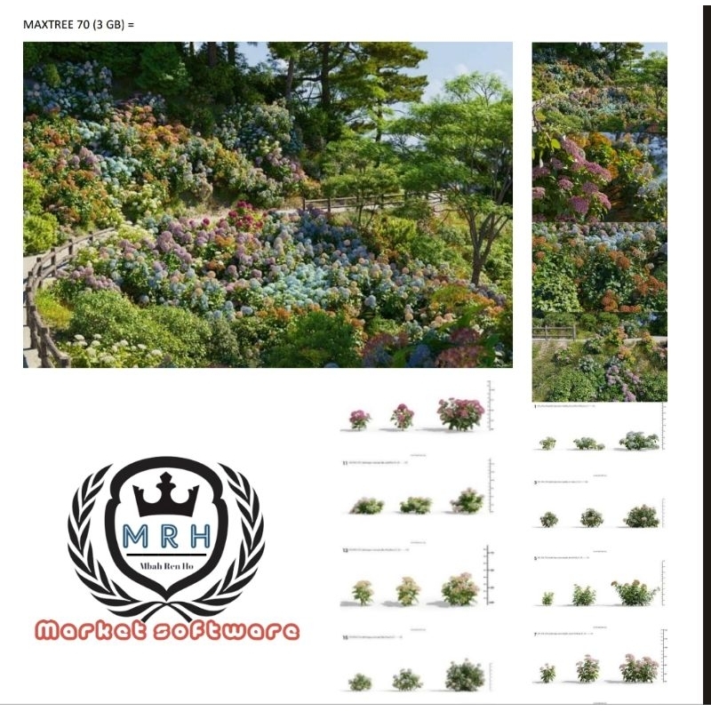 Jual MAXTREE PLANT MODELS VOLUME 70 | Shopee Indonesia