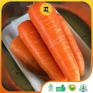 Jual Wortel 1 Kg Terlengkap & Harga Terbaru November 2024 | Shopee ...