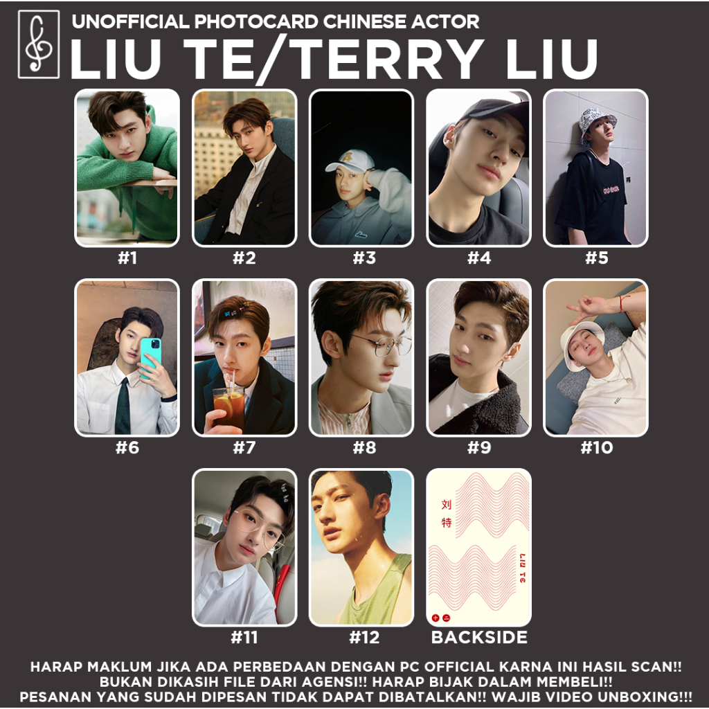 Jual [CHINESE ACTOR] PHOTOCARD TERRY LIU TE FANMADE | Shopee Indonesia