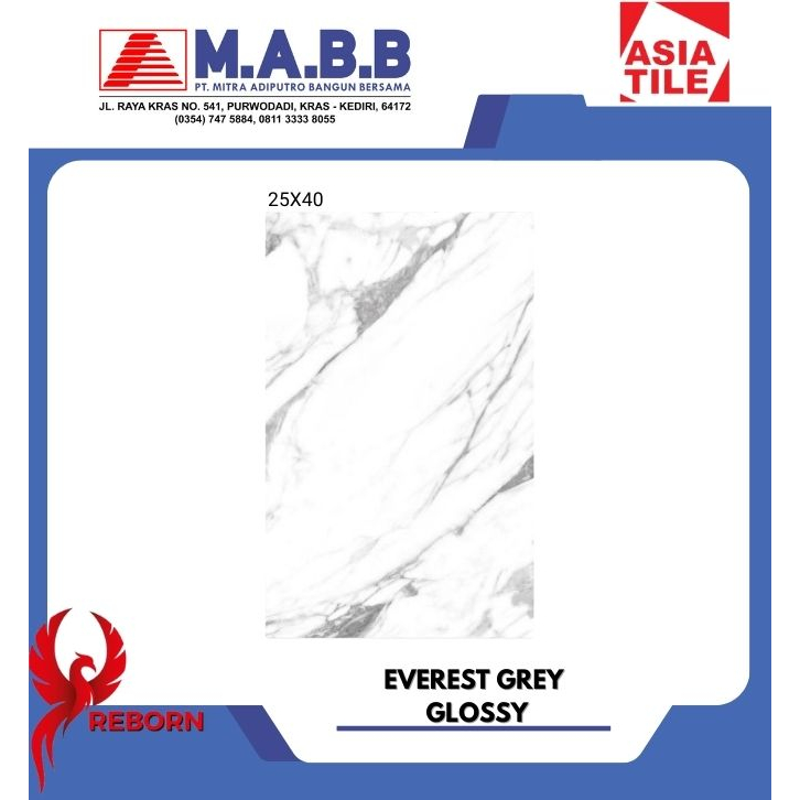 Jual Keramik Asia Tile Everest Grey 25x40 Glossy | Shopee Indonesia