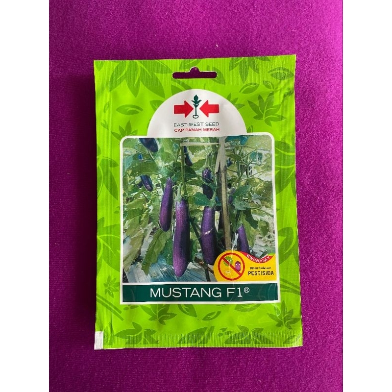 Jual BENIH BIBIT TERONG MUSTANG F1 400 BUTIR CAP PANAH MERAH | Shopee Indonesia