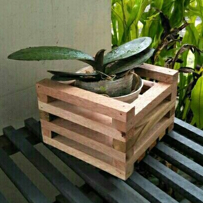 Jual Pot anggrek kayu gantung/Pot bunga kayu tanaman hias 17cmx17cm ...