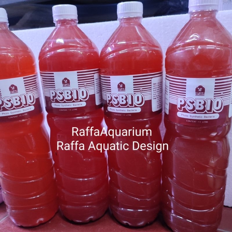 Jual PS BIO 1,5LT BAKTERI STATER PHOTO SYNTHETIC BACTERIA KOLAM IKAN ...