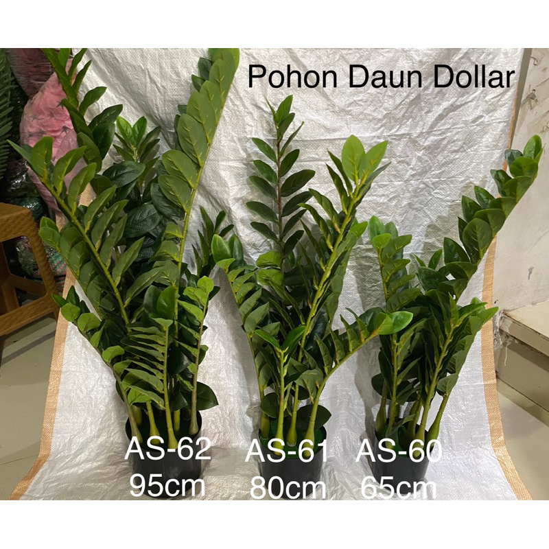 Jual New Pohon Daun Dollar Latek Artificial/1pohon | Shopee Indonesia
