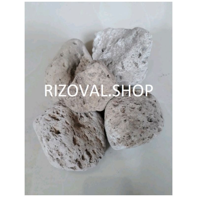Jual batu apung 4-7 cm 1kg / batu gombong / pumice stone / batu ...