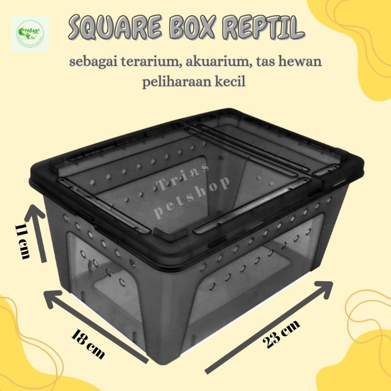 Jual SQUARE BOX REPTIL/FEEDING BOX KOTAK REPTIL/ FEEDING BOX REPTIL ...