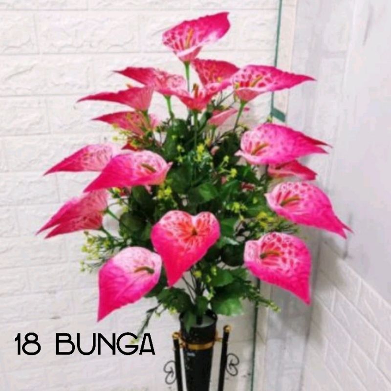 Jual Bunga Aron Panda x18 ( Tanpa Vas ) | Shopee Indonesia