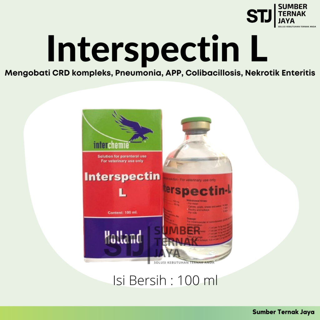 Jual Interspectin-L 100 ml CRD Kompleks, Pneumonia Mengobati Infeksi ...