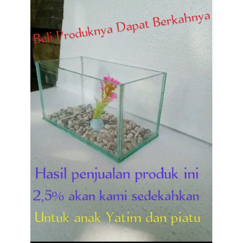 Jual Akuarium mini soliter cupang 20x10x10 lengkap dengan batu hias dan ...