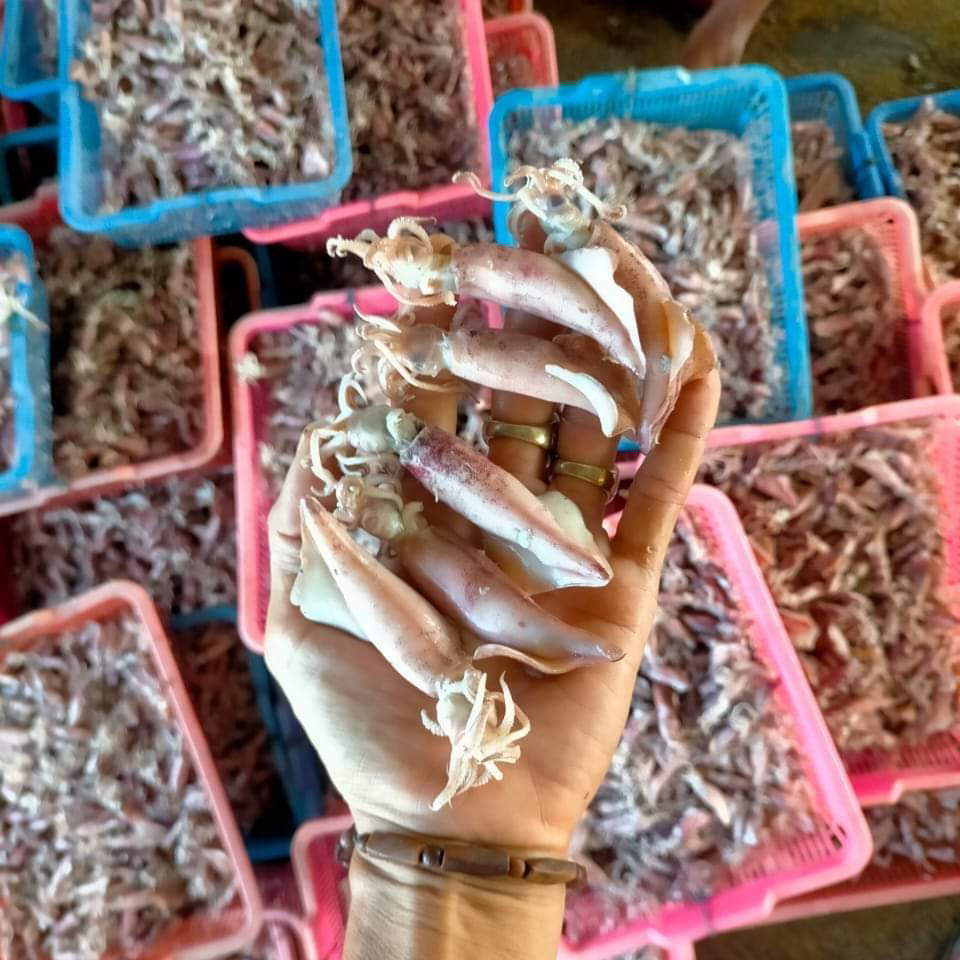 Jual CUMI JARUM KERING 1 KG / REBUSAN CUMI KERING | Shopee Indonesia