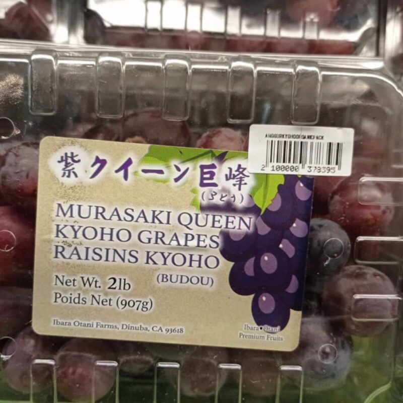 Jual Anggur Kyoho Murasaki Queen Korea Original 907 grm | Shopee Indonesia