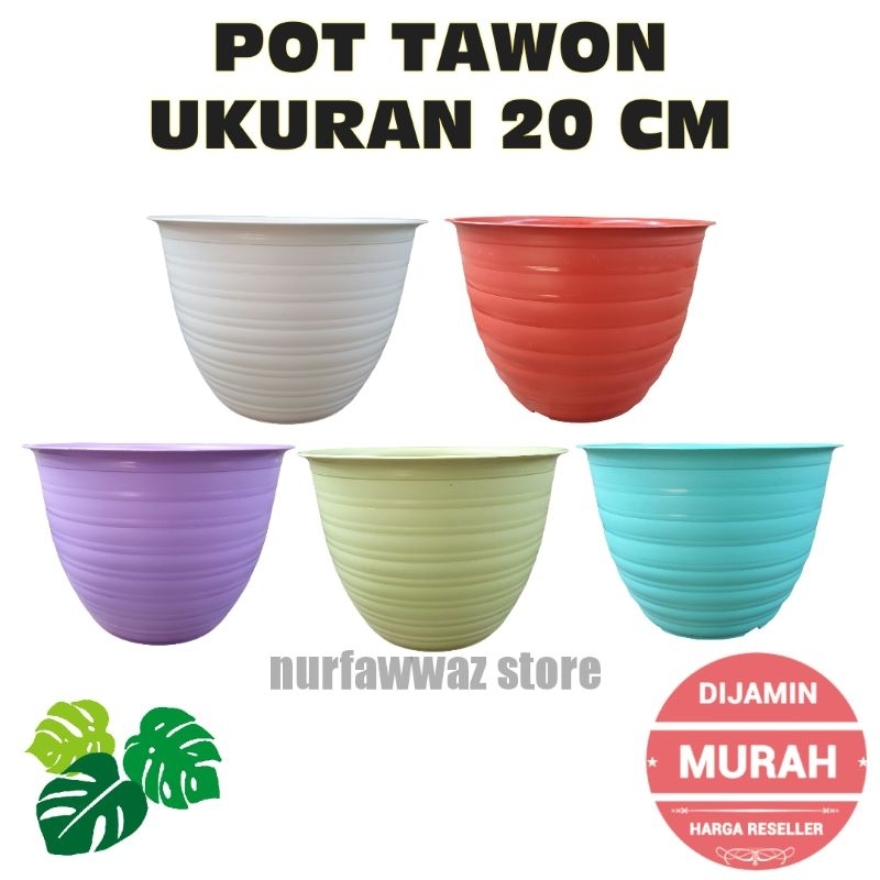 Jual Pot bunga tawon ukuran 20 cm murah | Shopee Indonesia
