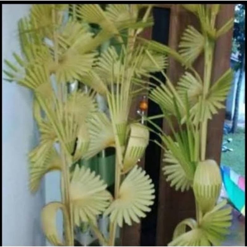 Jual Janur Tanda | Janur Pernikahan | Hajatan | Khitanan | Shopee Indonesia