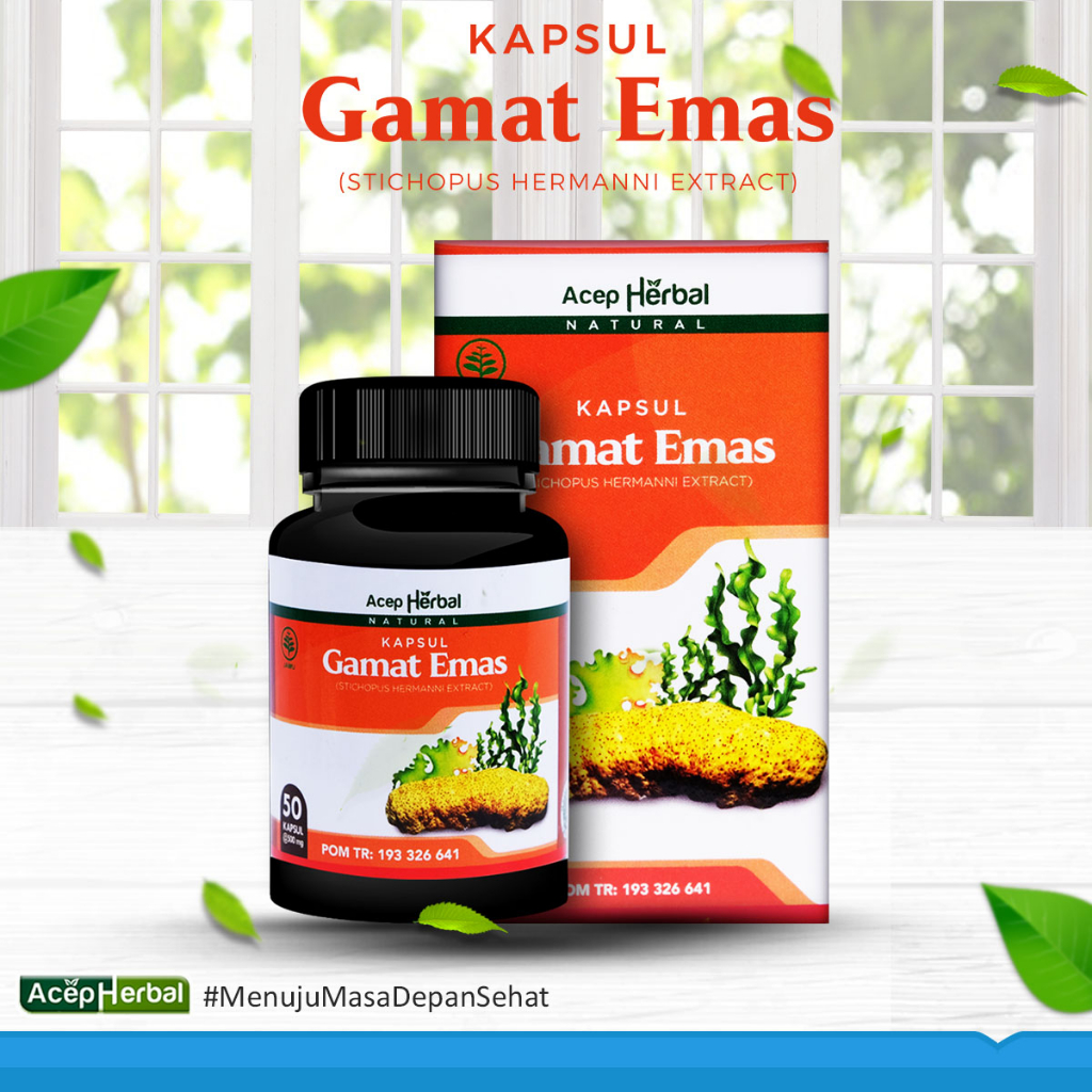 Jual Kapsul Gamat Emas Ekstrak Teripang Emas Isi 50 Kapsul Obat Herbal ...