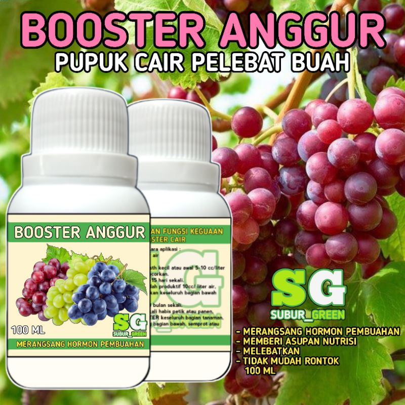 Jual SUBUR GREEN BOOSTER ANGGUR pupuk nutrisi buah 100% organik termurah melebatkan kemasan 100 ...
