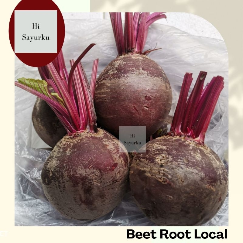 Jual BUAH BIT SEGAR / BEET ROOT FRESH / BUAH BEET 1 KG | Shopee Indonesia