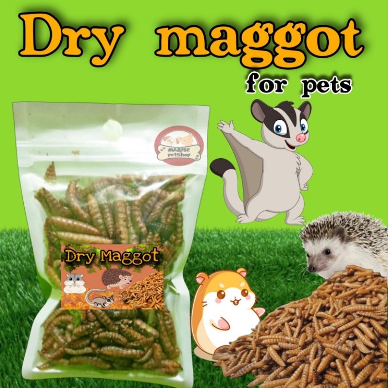 Jual Ulat maggot kering - snack hamster - snack sugar glider - snack ...