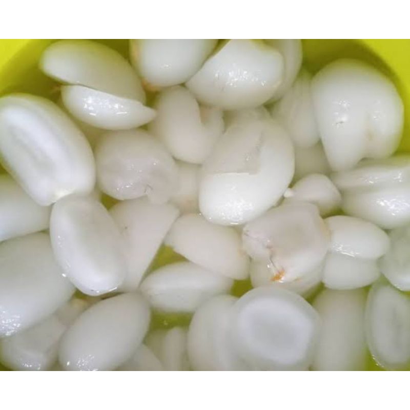 Jual BUAH NIPAH KOPEK DAN SEGAR | Shopee Indonesia