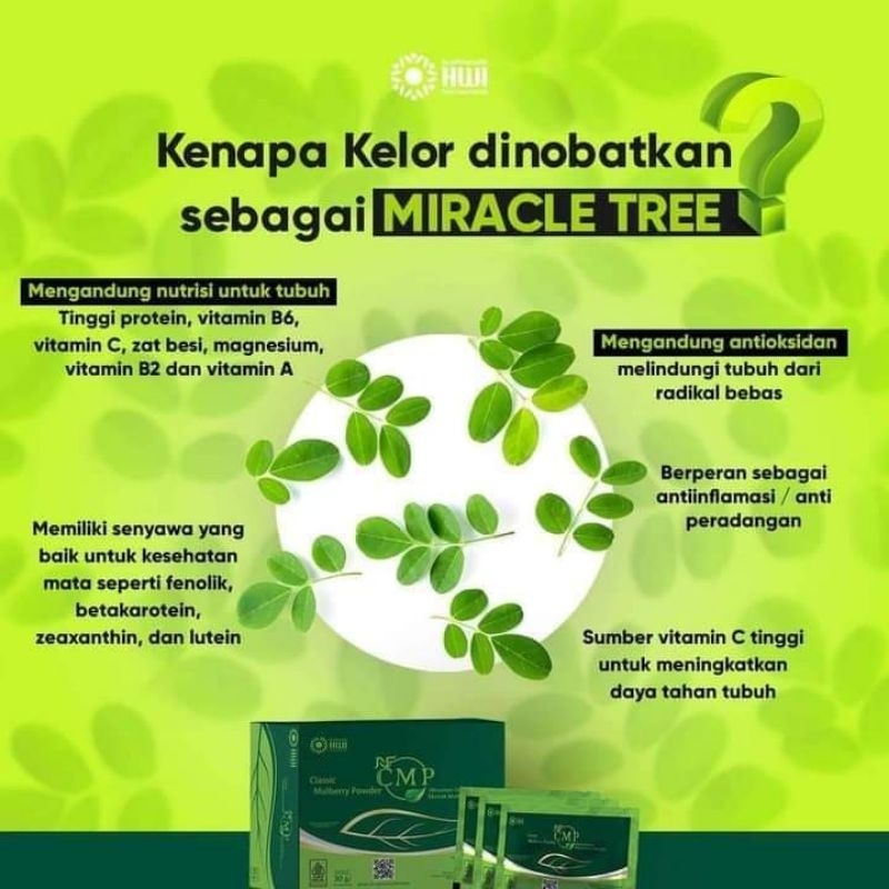 Jual NF CMP/ MINUMAN KLOROFIL/ MINUMAN DETOX/ MINUMAN DIET | Shopee ...