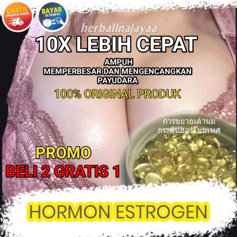 Jual Isi 30 Softgel Suplemen Pembesar Dan Pengencang Payudara Wanita