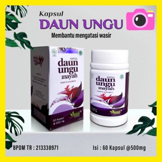 Jual BPOM Kapsul Daun Ungu Obat Herbal Wasir Ambeien Inayah ash shihah | Shopee Indonesia