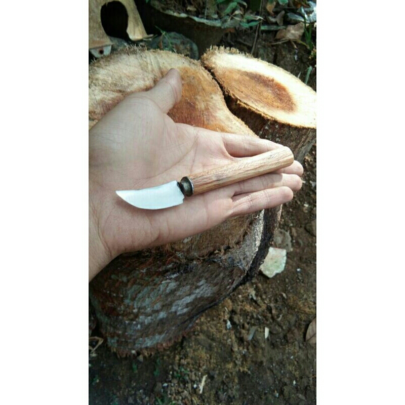 Jual Pisau Serut Bambu Multifungsi Buat Layangan Pisau mini melengkung ...