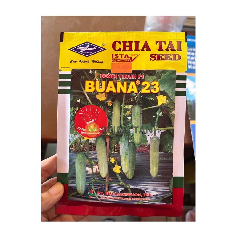 Jual BIJI BENIH TIMUN BUANA 23 F1 20 gram | Shopee Indonesia