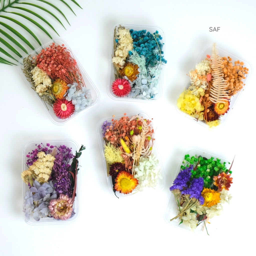 Jual paket 1 box bunga kering premium import - Props photo vintage ...